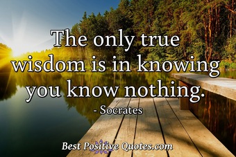 Wonder is the beginning of wisdom. - Best Positive Quotes