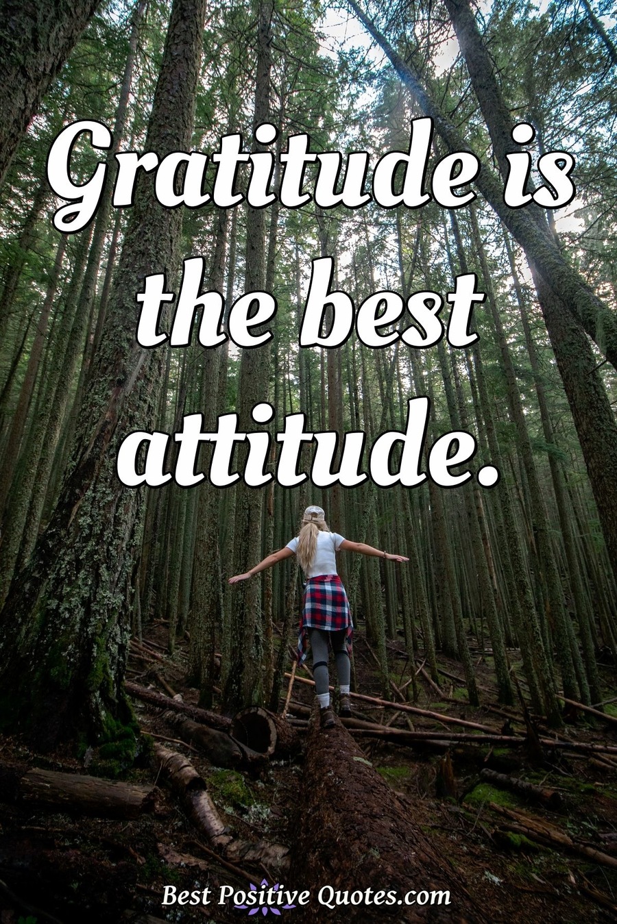 Gratitude is the best attitude. - Best Positive Quotes