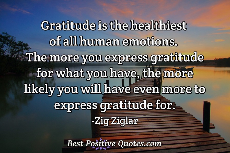 21 Best Gratitude Quotes to Appreciate What You Have