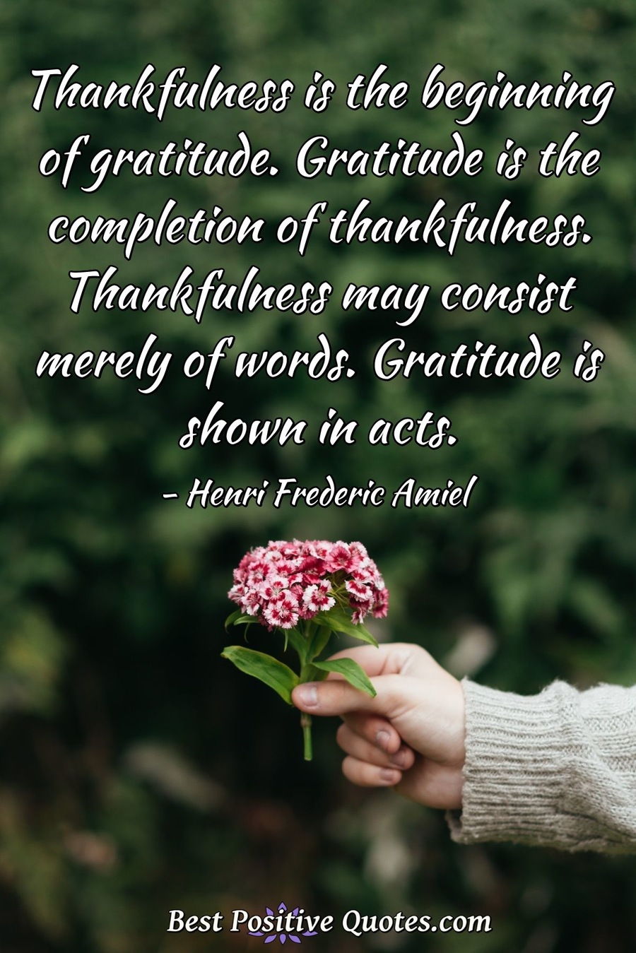 Gratitude is the best attitude. - Best Positive Quotes